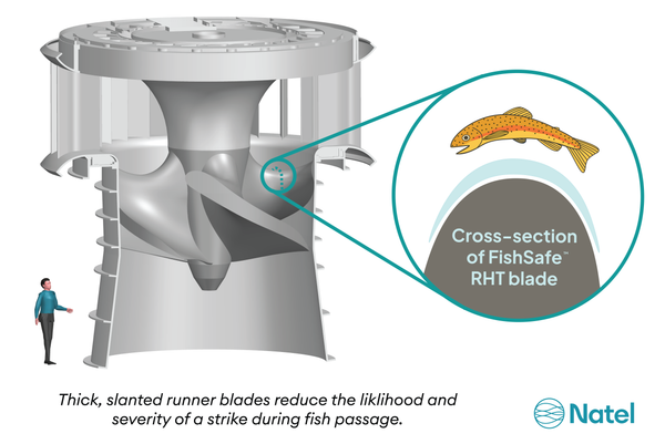 No Trade-Offs, No Excuses: Natel Energy’s Fish-Friendly Turbines
